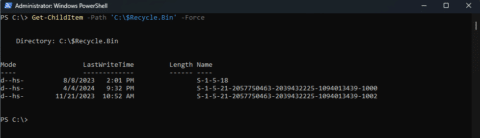 A Step-by-Step Guide to Emptying the Recycle Bin in Windows 11 using ...
